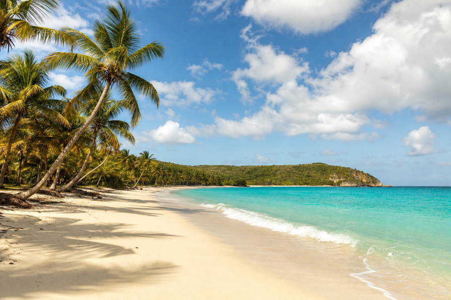 Guide du coût de la vie en Antigua-et-Barbuda 2026 - restaurants ...