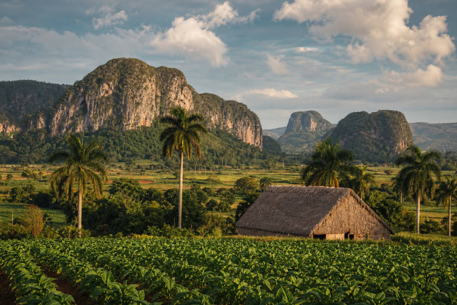 ¿Cuál es el costo de vida en Cuba?