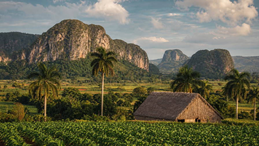 Prix des denrées alimentaires en Cuba Est-ce moins cher dans les ...