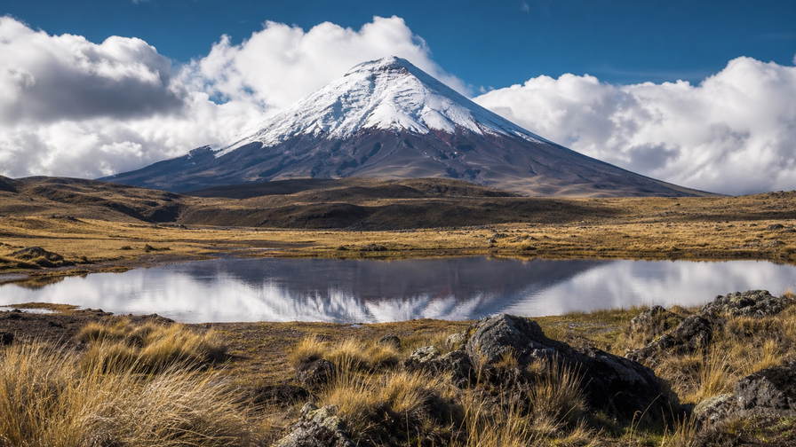 What is the cost of living in Ecuador?