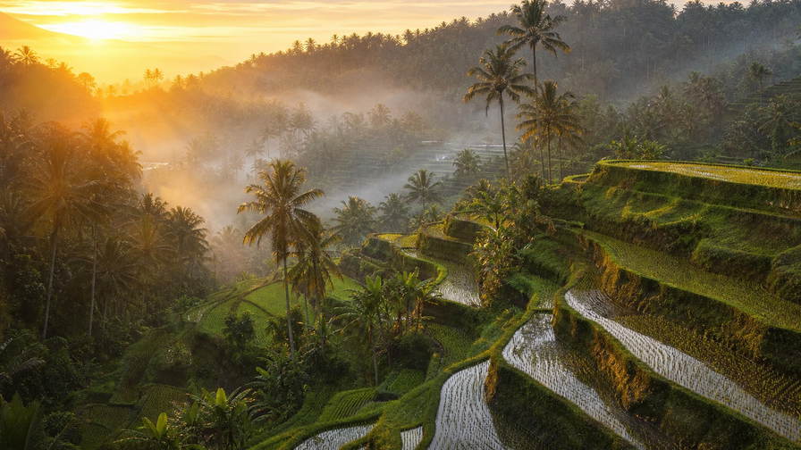 Cost of Living in Surabaya (Indonesia) 2026 - Real Local Prices in IDR