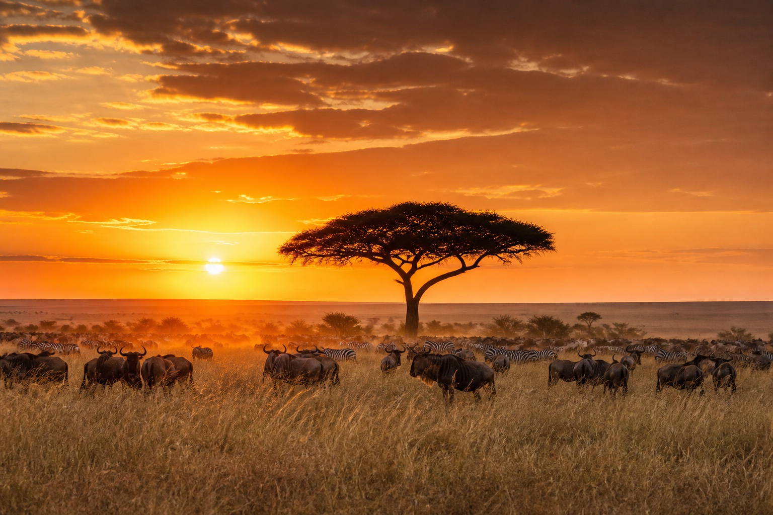 Eldoret, Kenya Prices 2026 - Cost of Beer, Meal, Hotel (KES)