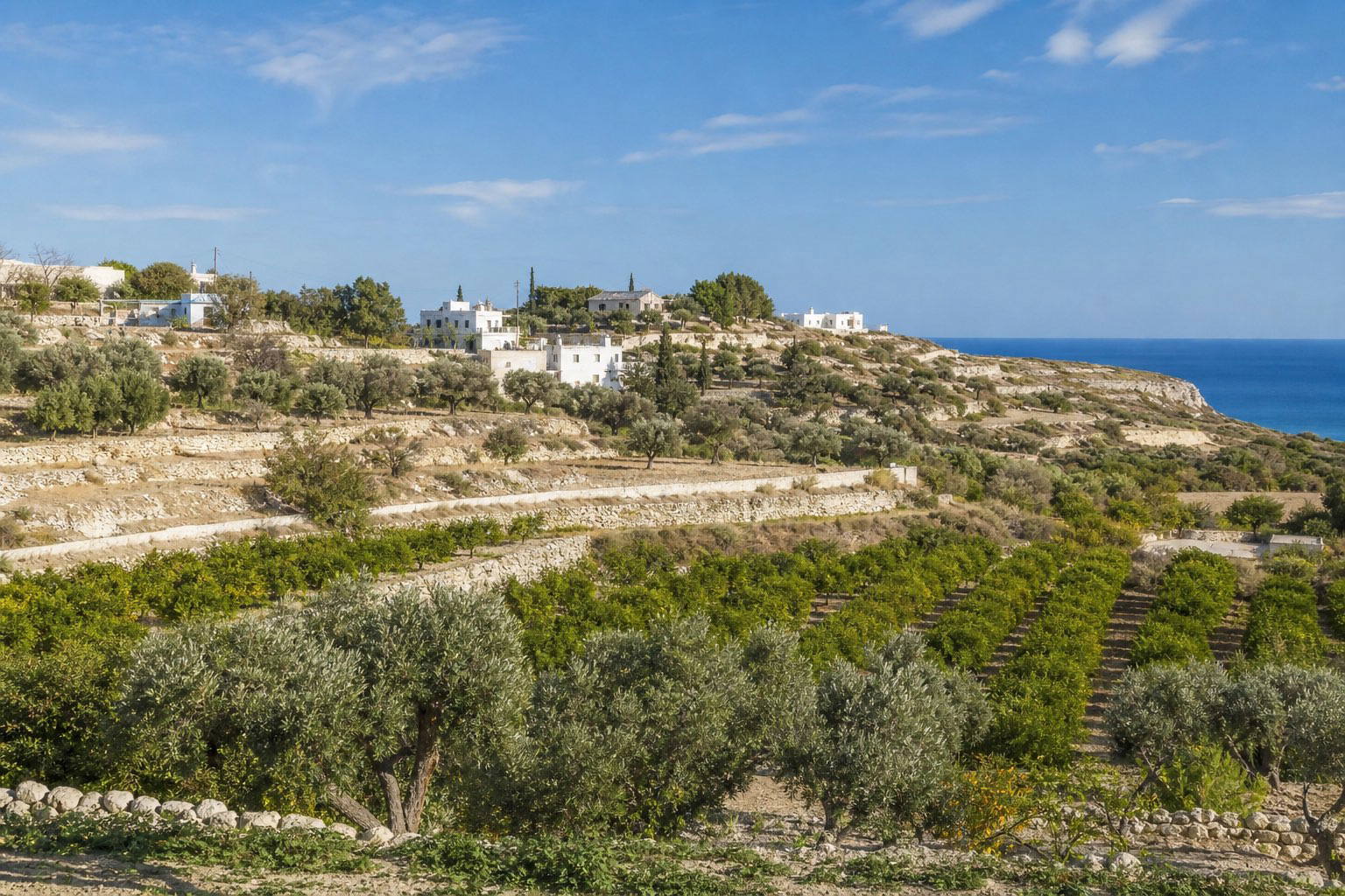Coût de la vie à Chypre du Nord (Chypre) 2026 - prix locaux réels en EUR