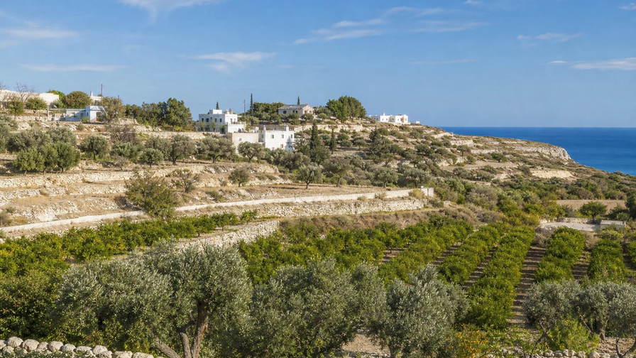 Cost of Living in Protaras (Cyprus) 2026 - Real Local Prices in EUR