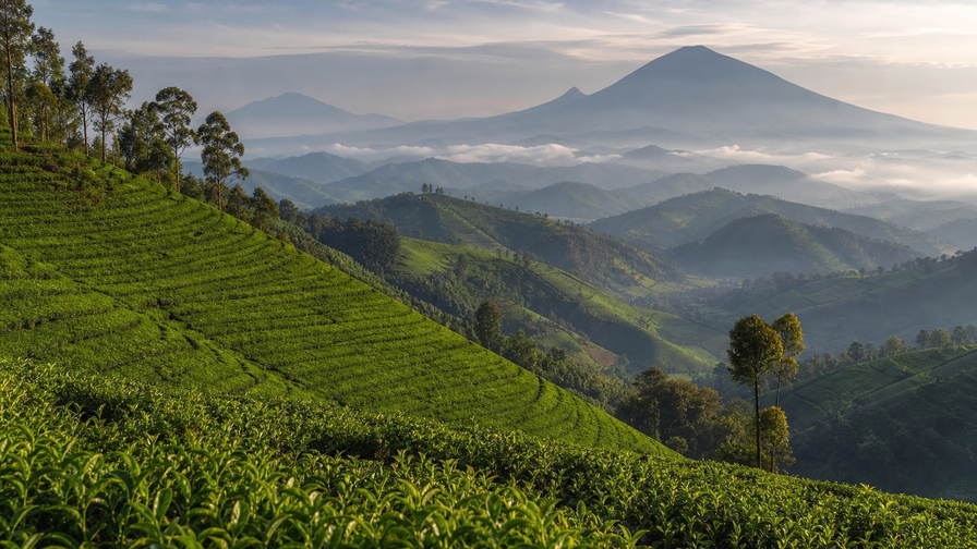 Prices in Kigali, Rwanda (2026) - Daily Costs in RWF